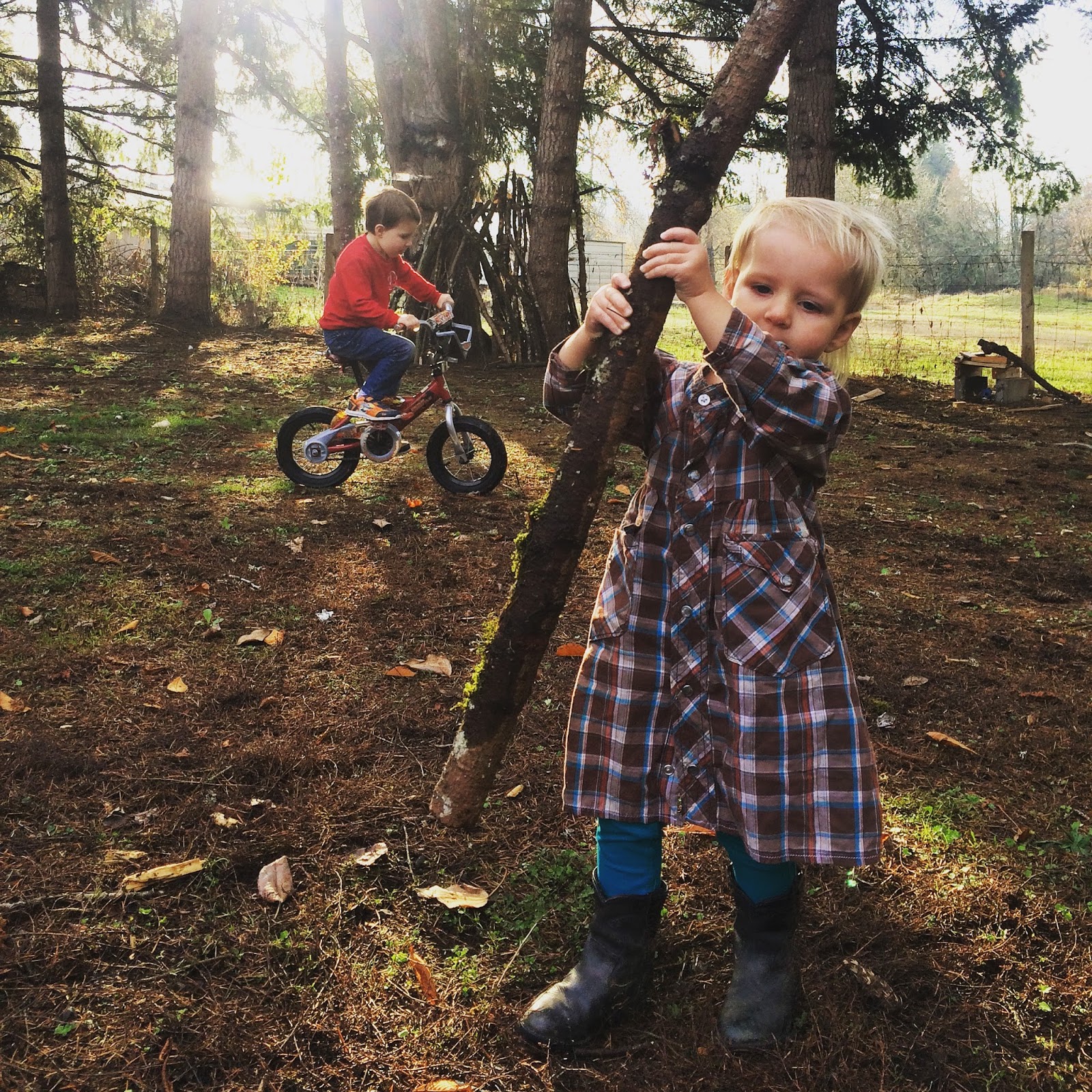 Grow Wild My Child: Get Out! 7 Ways to Help Parents Go Outside with ...