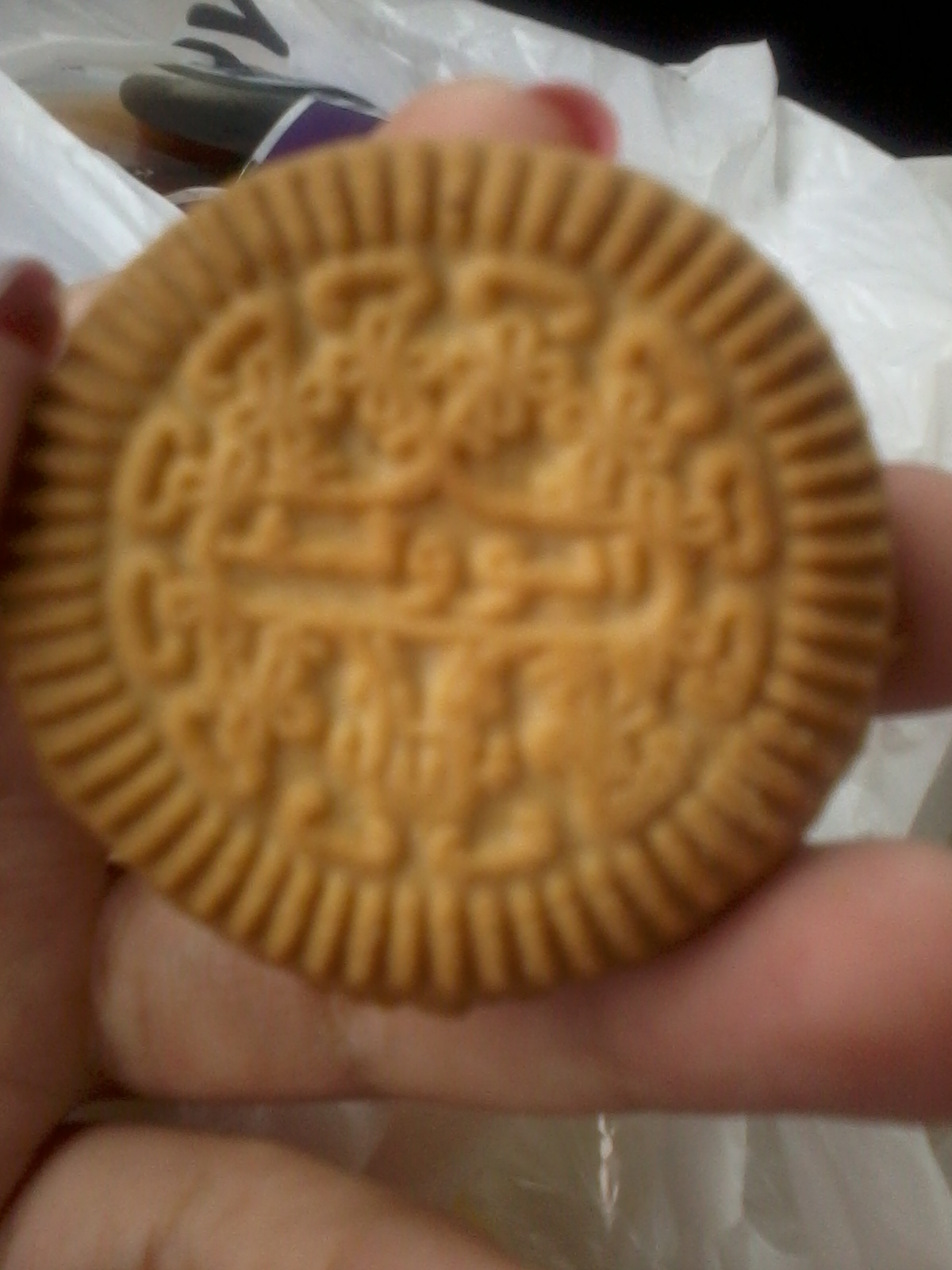 Exciting Holidays: Abu Walad Sandwich Biscuits