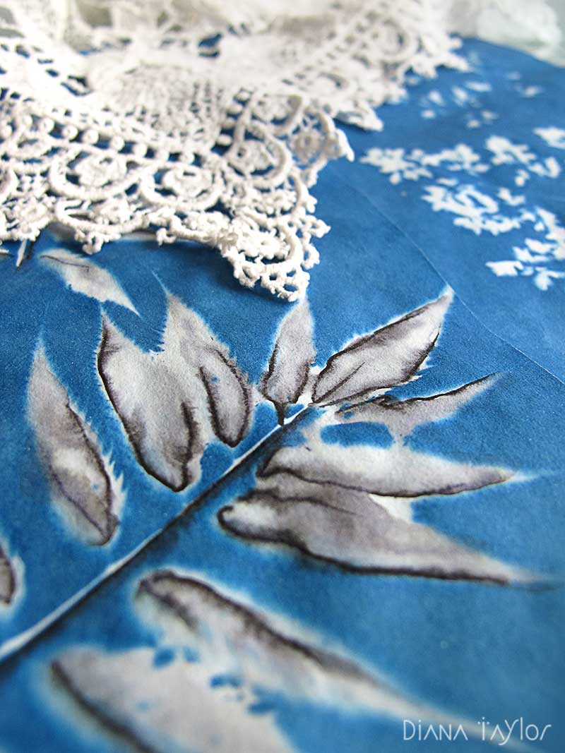 Velvet Moth Studio: Cyanotype Prints on Paper