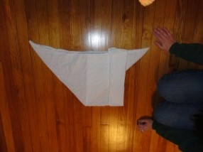 One Step Behind: Flat Origami Fold