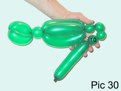 Balloon animals twisting instructions: Balloon parrot
