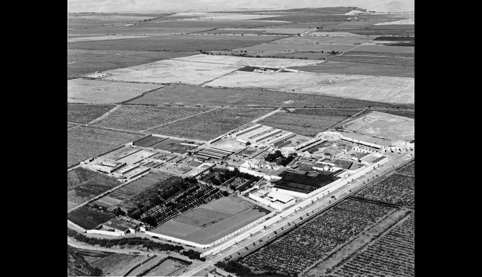 La Forma Moderna en Latinoamérica: Libro póstumo de Juan Gunther