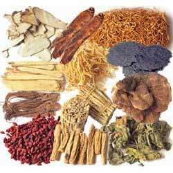 UNANI MEDICINE OR UNANI TIBB SYSTEM: Unani Medicine System