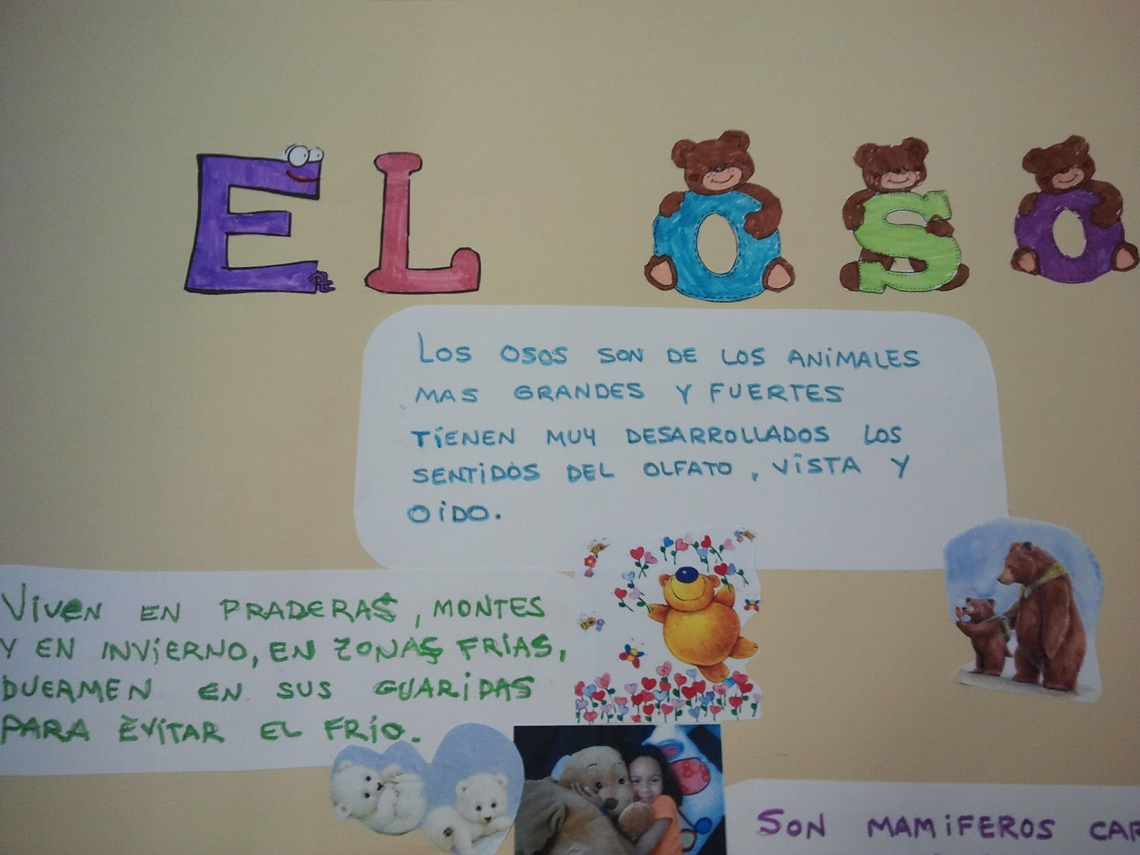 TRABUBU: DÁNIA NOS TRAE INFORMACIÓN SOBRE EL OSO