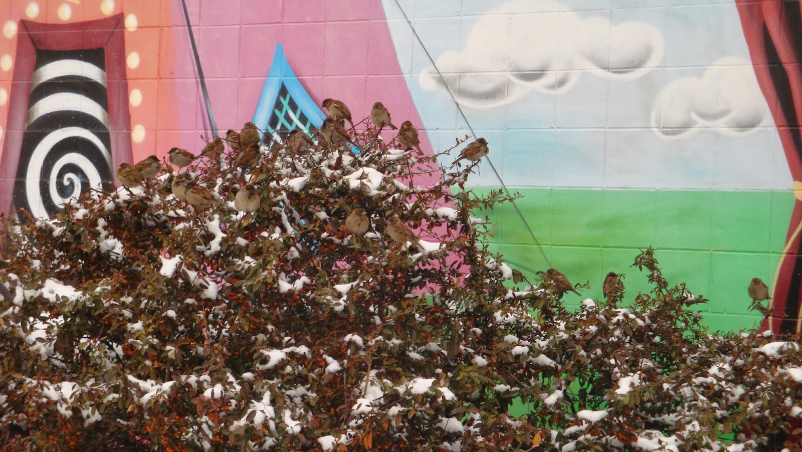 Man-Li Kuo Lin 郭曼麗 網誌第二集 The Years 2014-2015: 2014-02-18 與牧師開會 Meeting ...