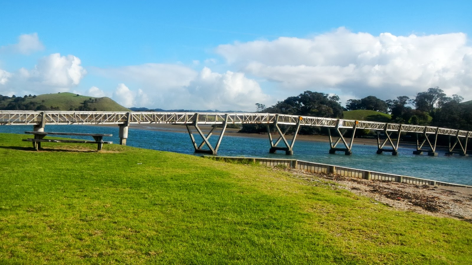 Licorice Allsorts: Adventures at Pataua South