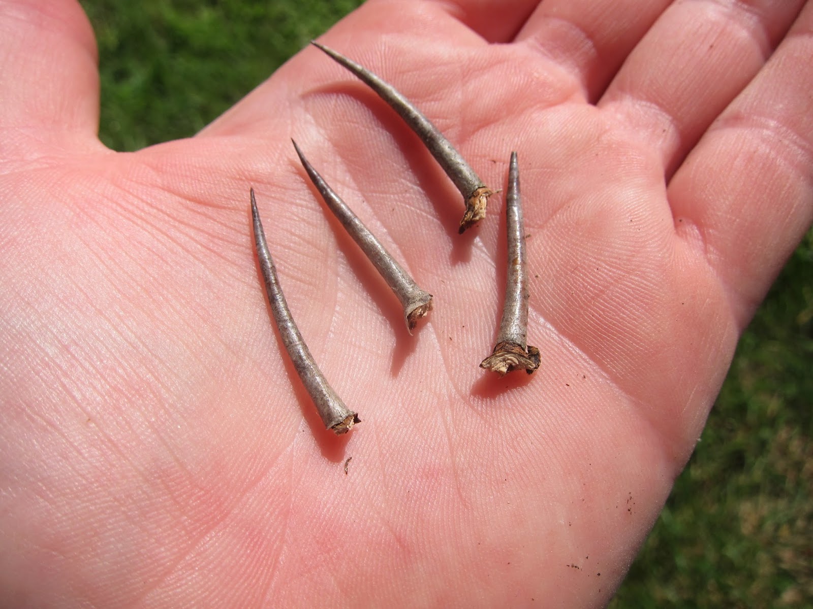 furthermore, flask: tools