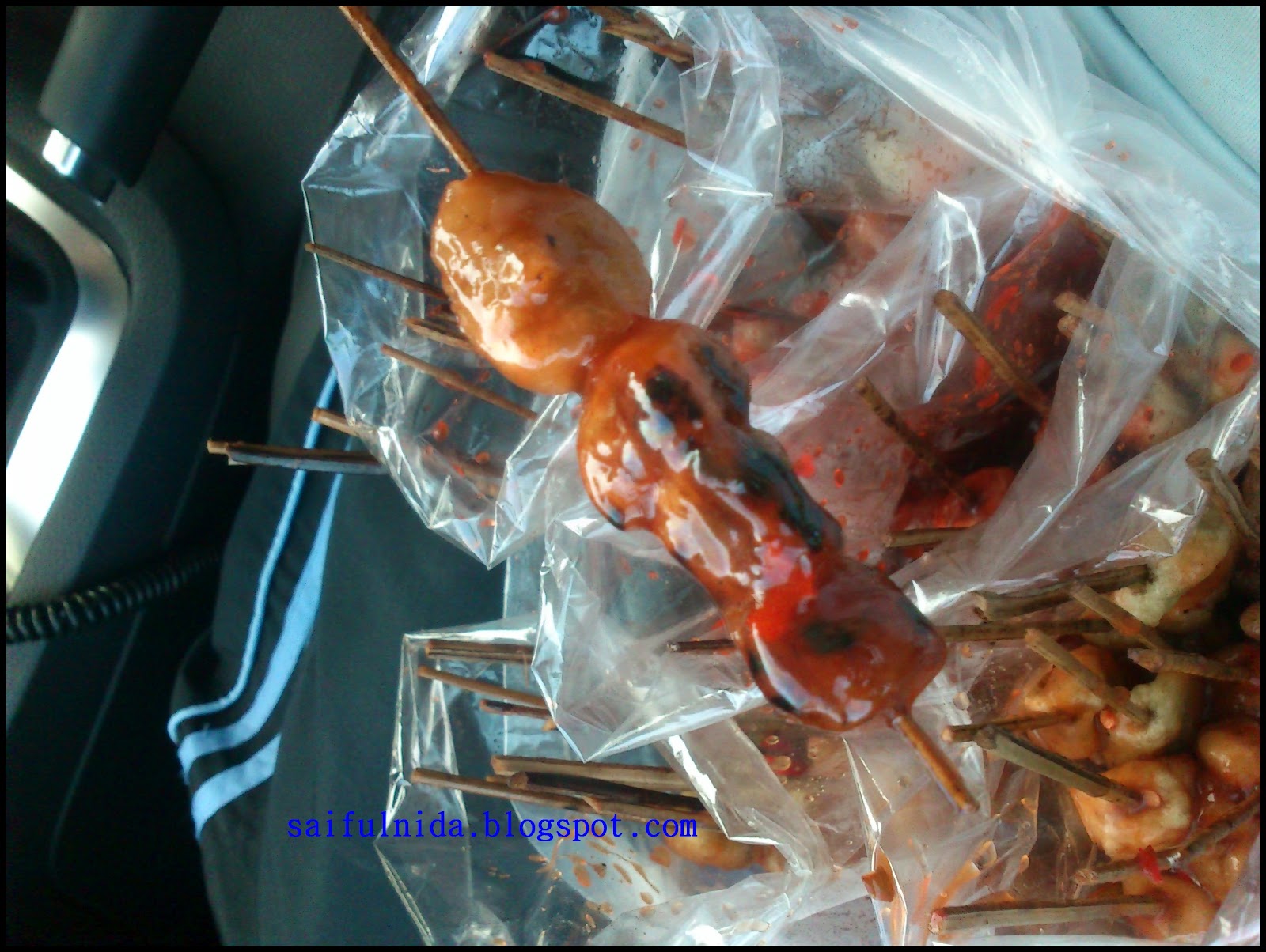 Journey Of Life: Lokching @ sate ikan