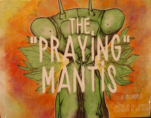 Books in Boothbay: Pat Lammers