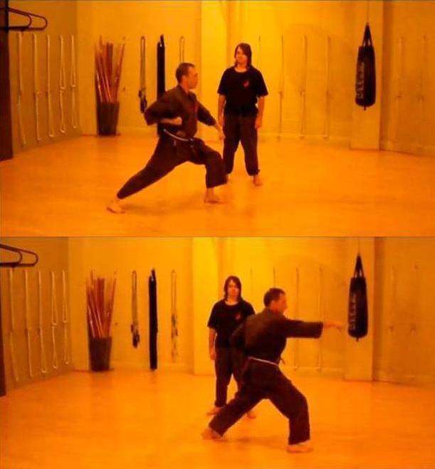 Kata techniques as "stem cell movements"