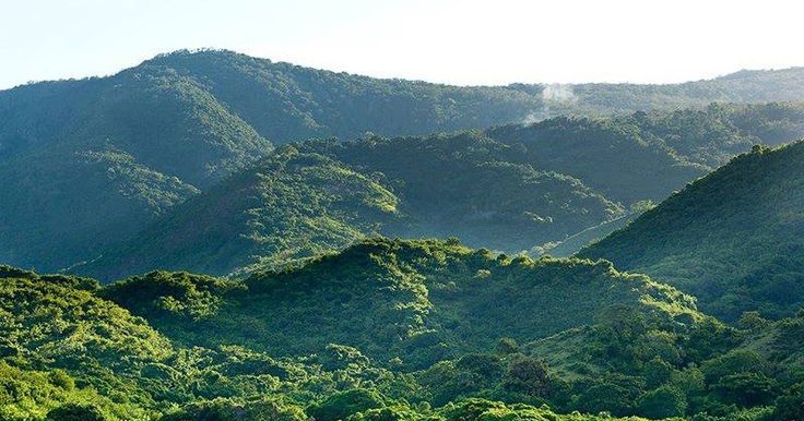 Alternativas para Cuidar el Medio Ambiente: SIERRA DE NEIBA.