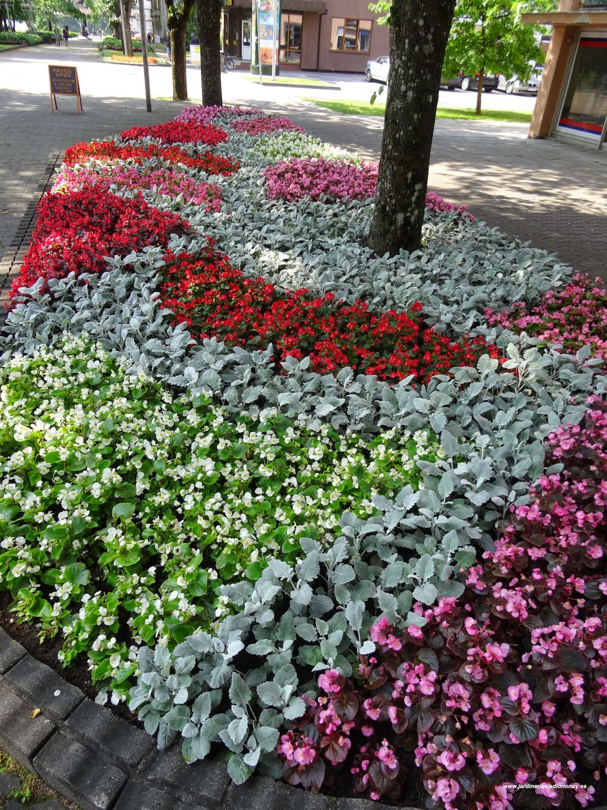 Jardineria Eladio Nonay: AGRUPACIONES DE PLANTAS (Jardinería Eladio Nonay)