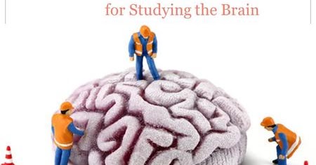 Studying the Brain