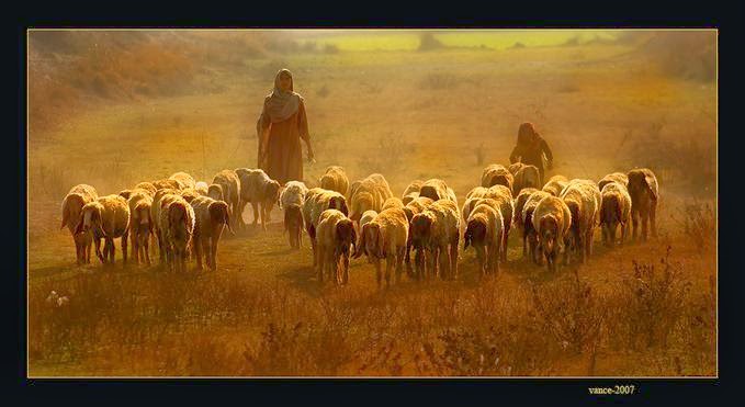 Scripture for Today: Exodus 2:23-3:15 ~ behold, the cry of the people ...