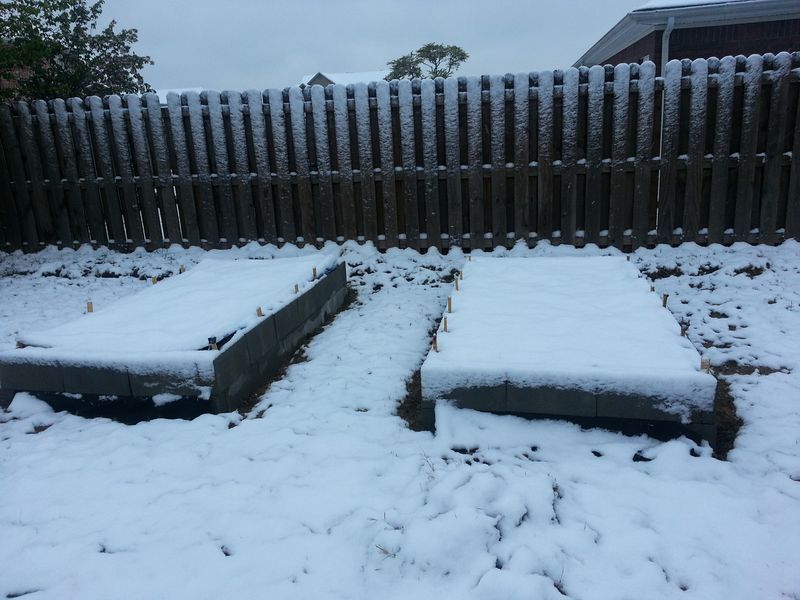 Pinspired - A Pinterest Inspired Journey