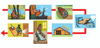 La Madera: Proceso de obtencion de la madera