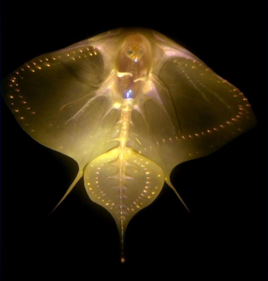 model ships in the cinema: The Abyss 1989 Part 4