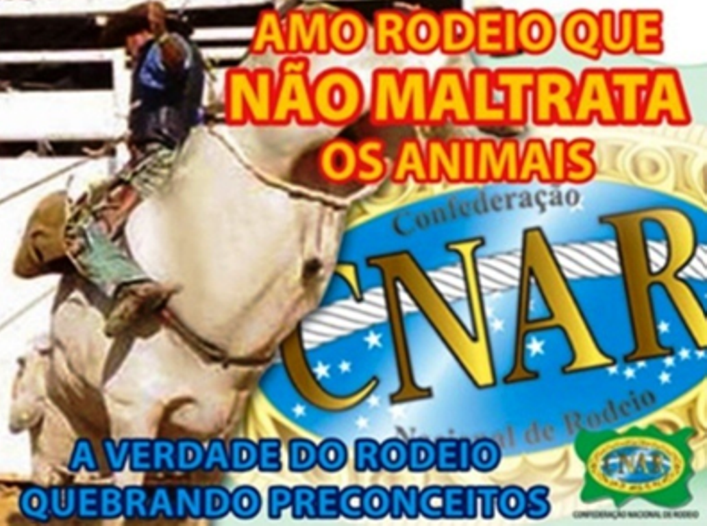 DJ TIAGUINHO RODEIO: CURIOSIDADES