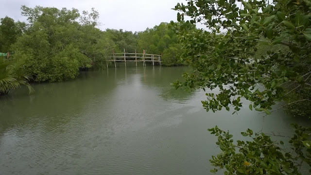 Save the Philippine Nature and Environment Starting with Pasig River ...