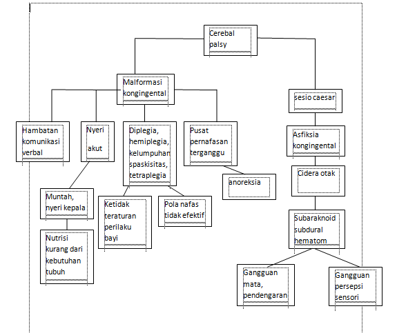 PATHWAY CEREBRAL PALSY