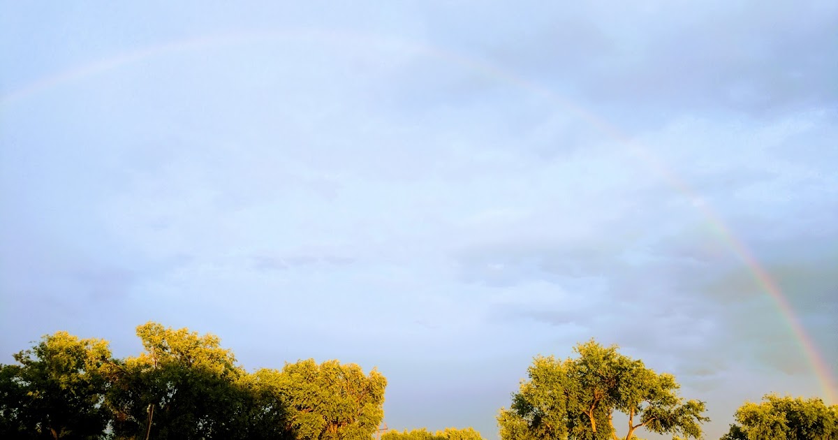 Aloha and Holo Holo: From Colorado to Texas and back again