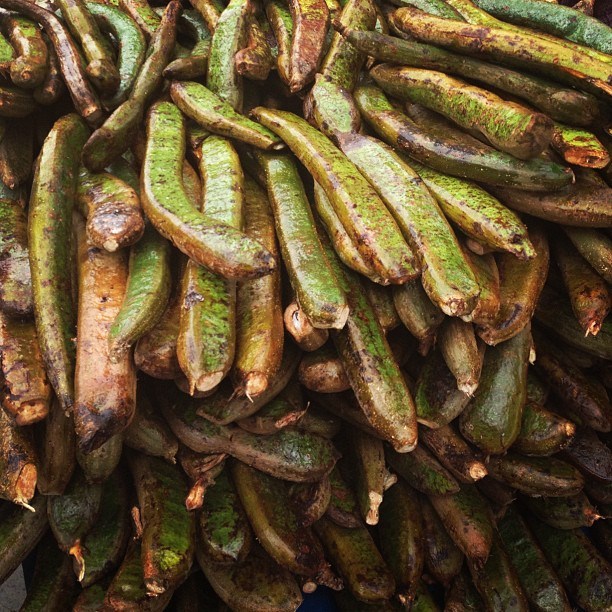 Espigas de Trigo: Mi abuelo me lo contó, hablando de Costa Rica y la ...