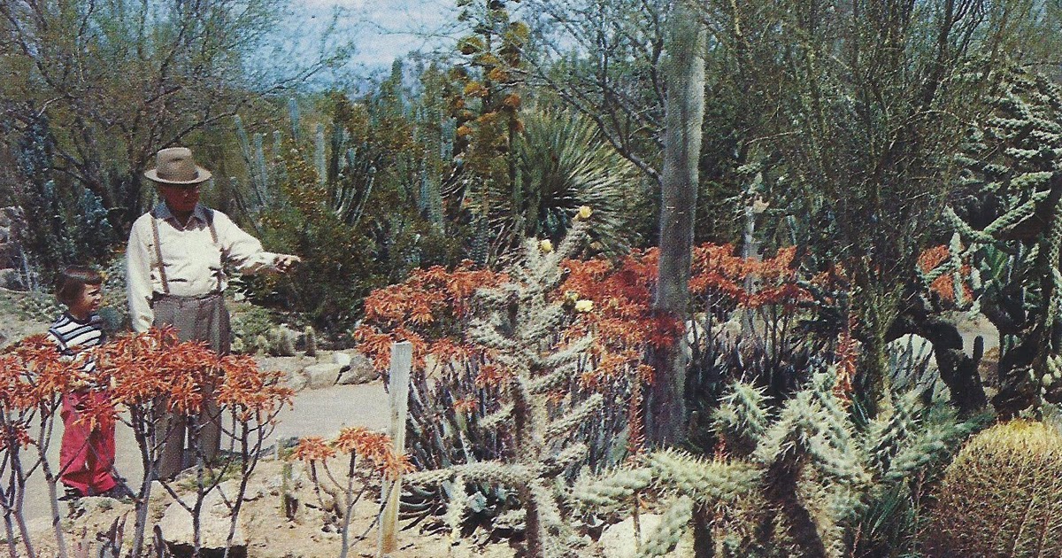 History Adventuring: How the Phoenix desert went from ugly to beautiful ...