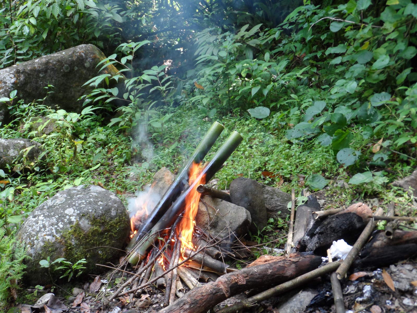 The Travel Diaries of Buaya & Nyamuk