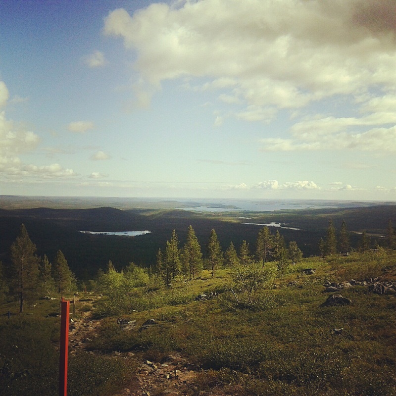 MicroCosmos: insta Finland