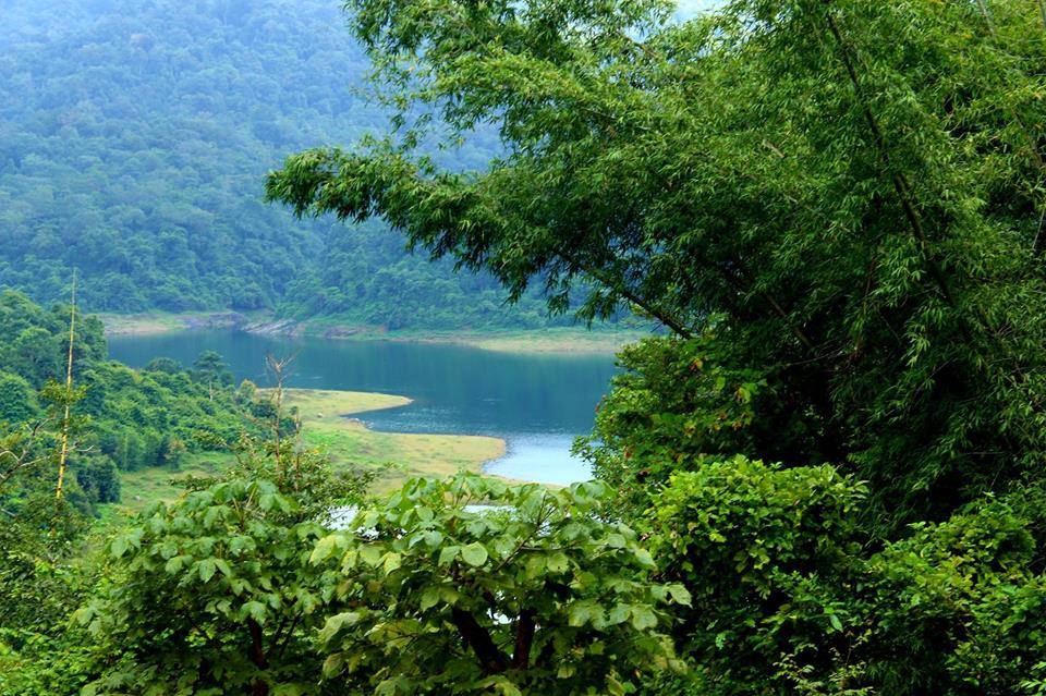 കാടിന്റെ തണുപ്പും കാഴ്ചകളുമായി ചിമ്മിണി വൈൽഡ് ലൈഫ് - Chimmini Wild Life ...