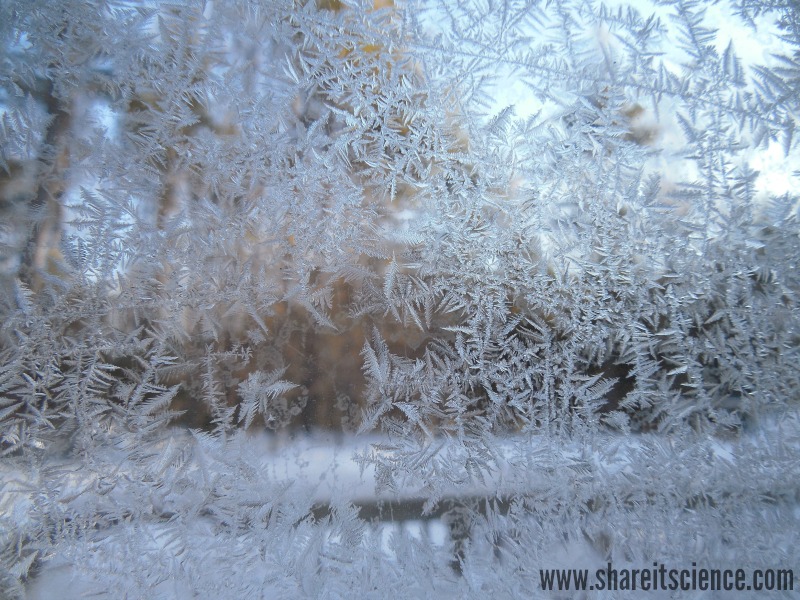 Share it! Science : Fractals in Nature: A Mathematical Suncatcher Project