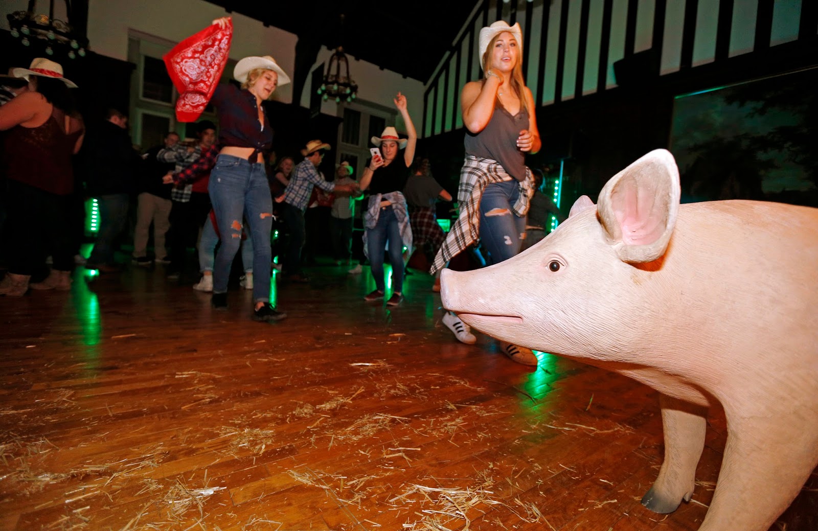 Mark Kodiak Ukena: Lake Forest College Barn Dance