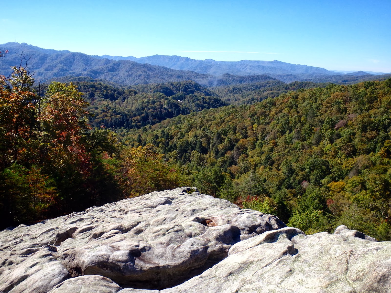 Lee County Hiking Club: Knobby Rock of Blanton Forest
