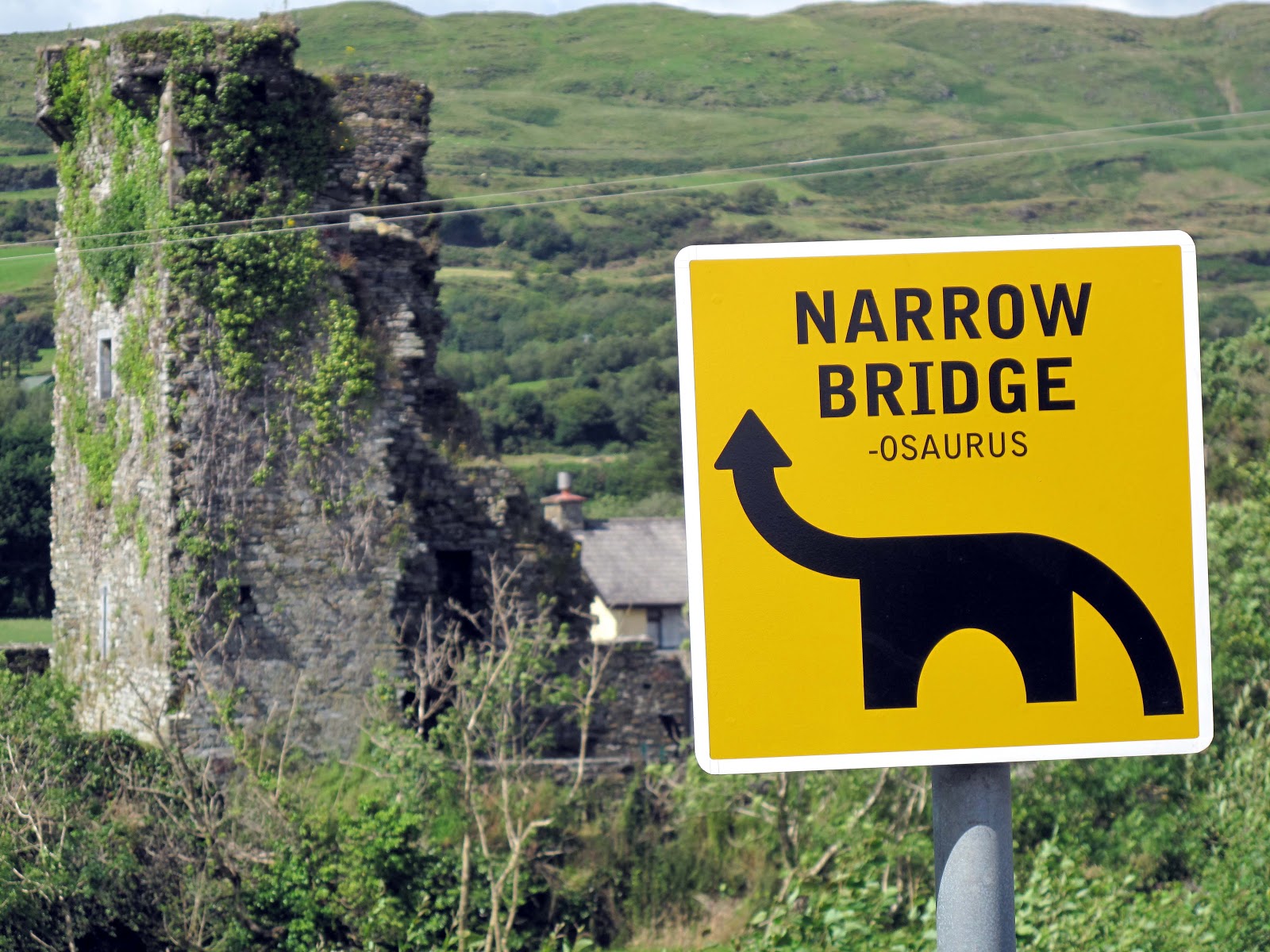 The Many Attractions of Driving the R584