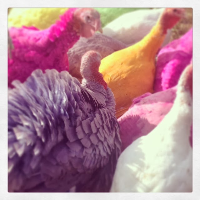 les petits présents: turkey talk