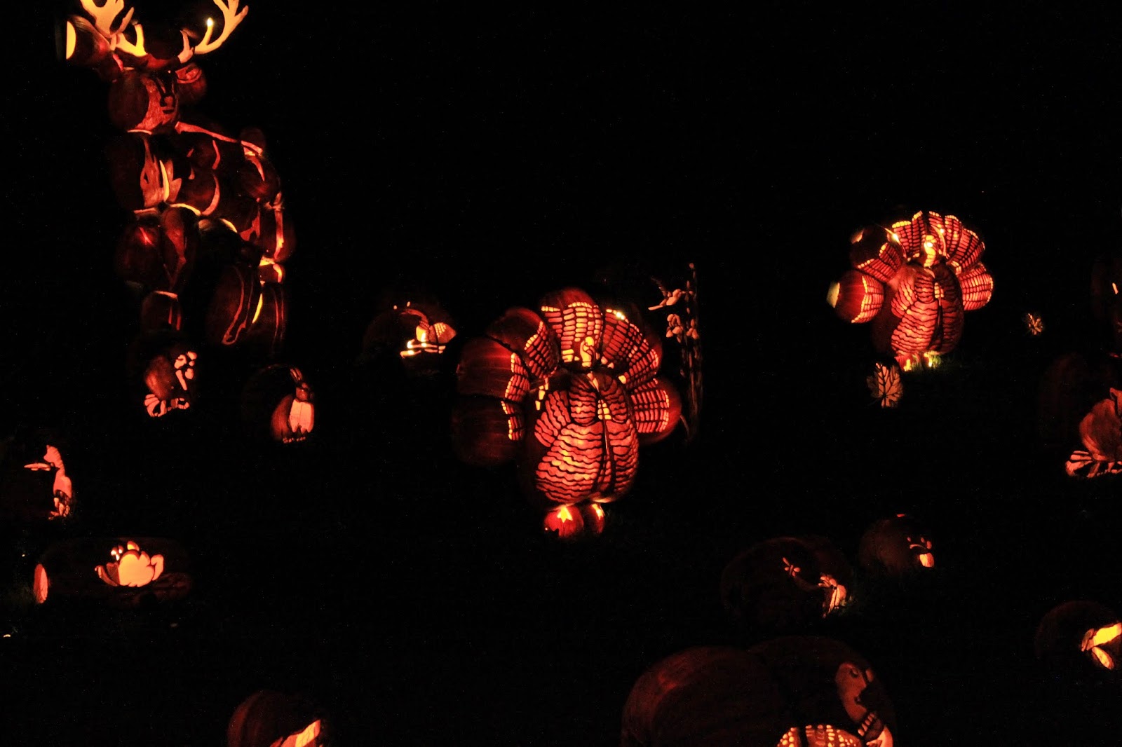 Simpson Eco Farms: Pumpkin Inferno! (^,,,^) Upper Canada Village (^,,,^)
