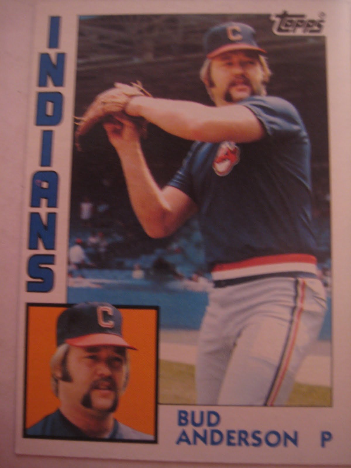 Baseball Cards Come to Life!: Player Profile: Bud Anderson