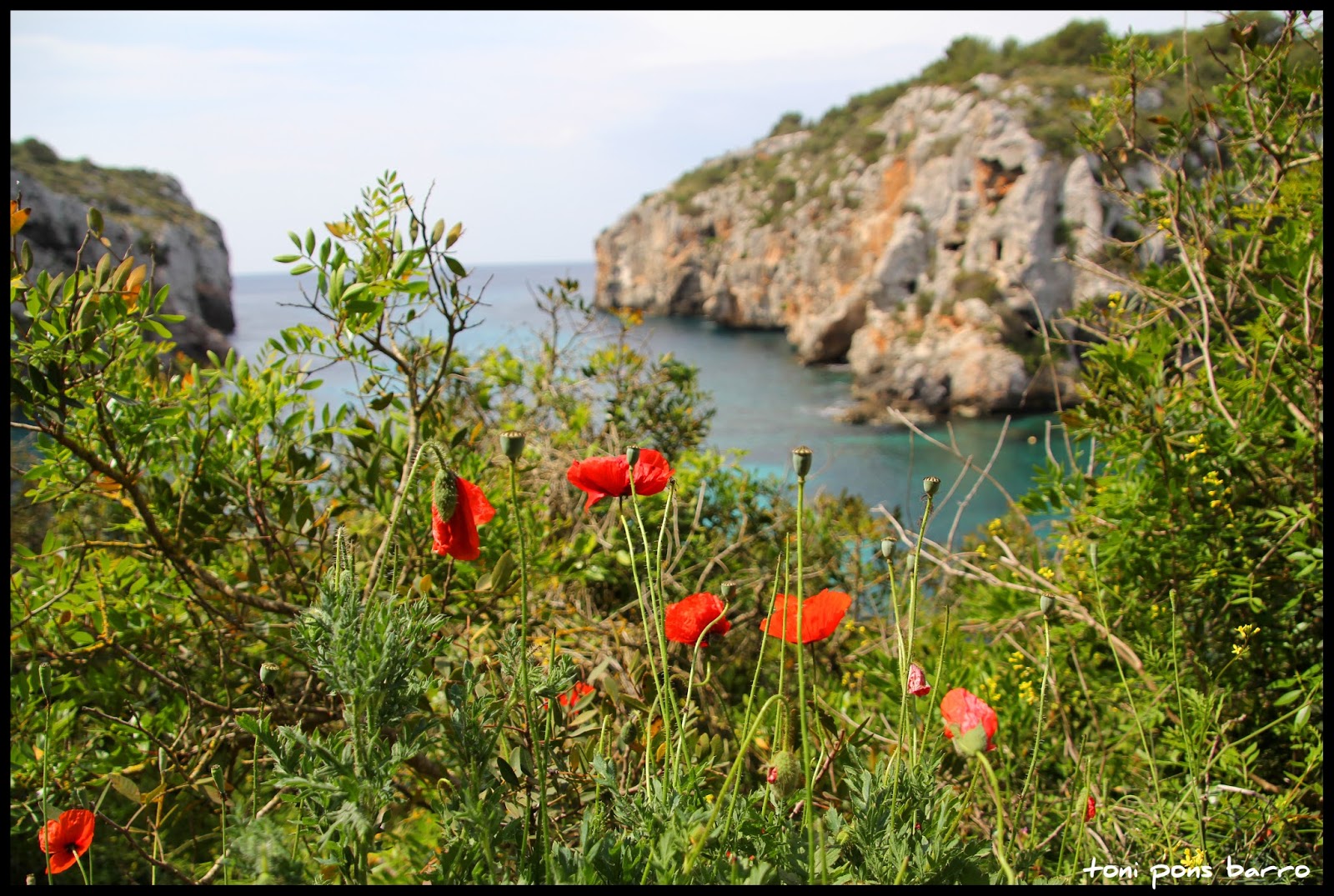 -MENORCA-: Cales Coves.