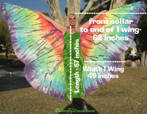 Butterfly Dreams: Quick and easy photo chart of our Wing sizes