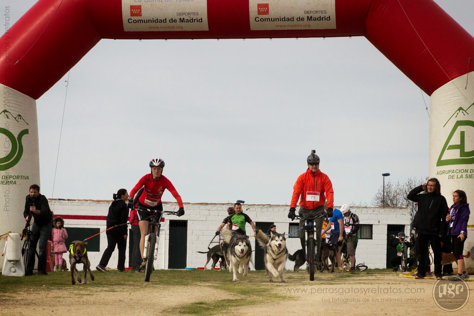 Wolf-Canyon Team Alaskan Malamute: VII Carrera benéfica de Canicross de ...