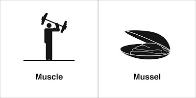 Homophones, Weakly: Muscle & Mussel