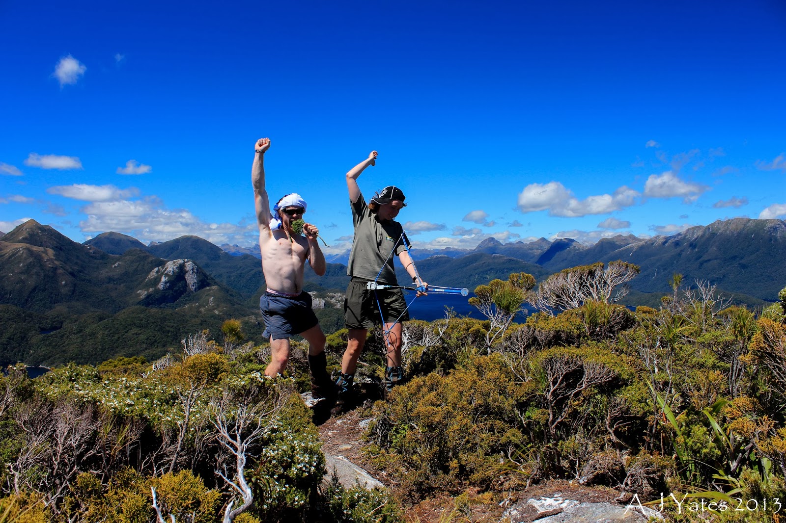 Aotearoa Landscapes: Anchor Island - Kakapo Recovery Programme