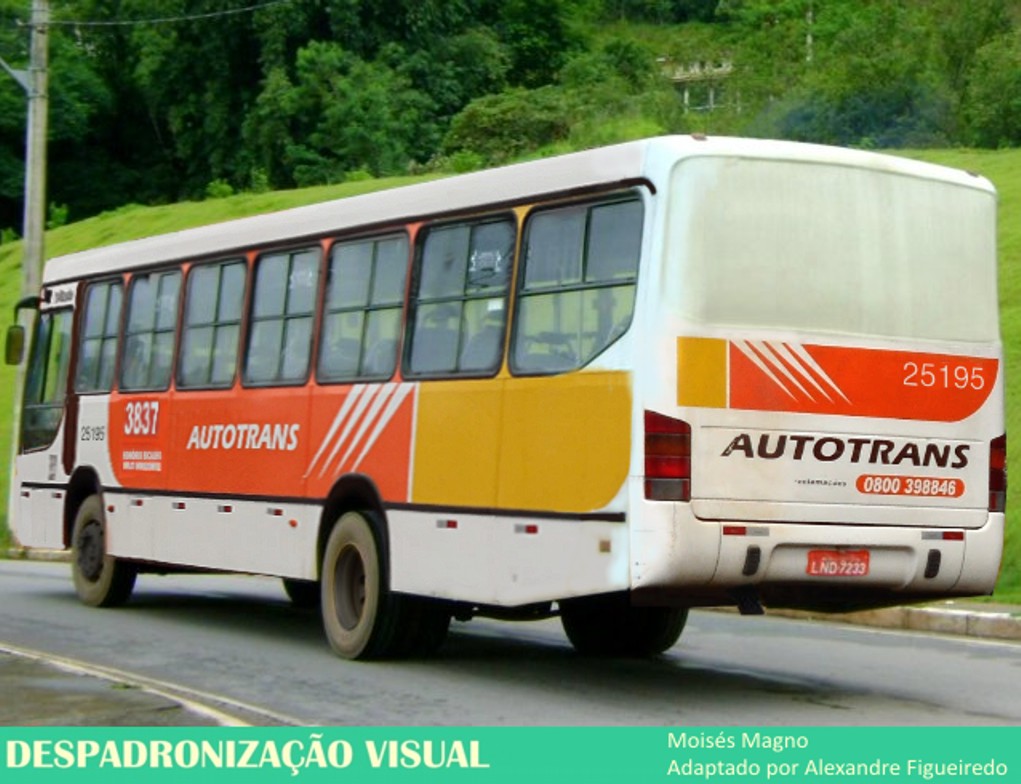 Despadronização Visual - A liberdade em cores - A Busologia do futuro ...