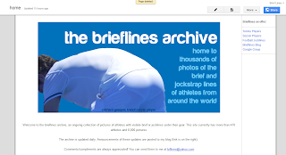 Brief Lines: R.I.P. Sidelines: Brieflines Site V3.0