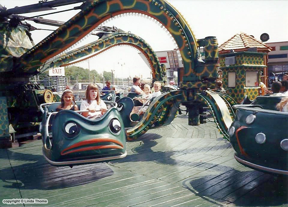 The Digital Research Library of Illinois History Journal™ : The History ...