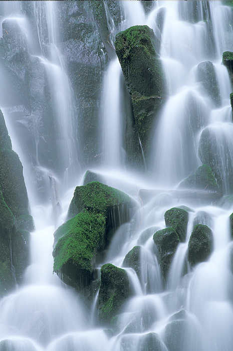 Kashyap's: Camera For Dummies Basics: Shutter Speed