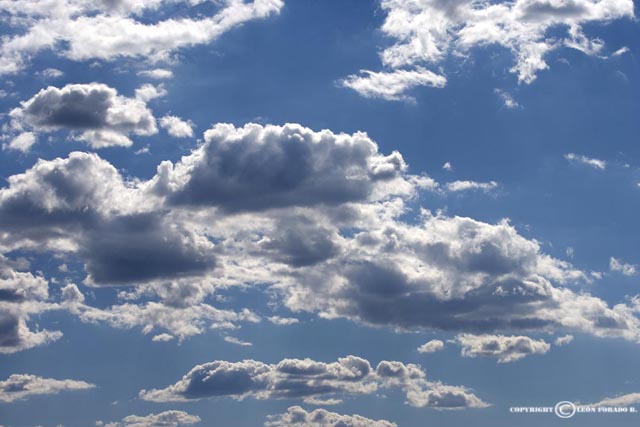 Bacterias Actuaciencia: abril 2013