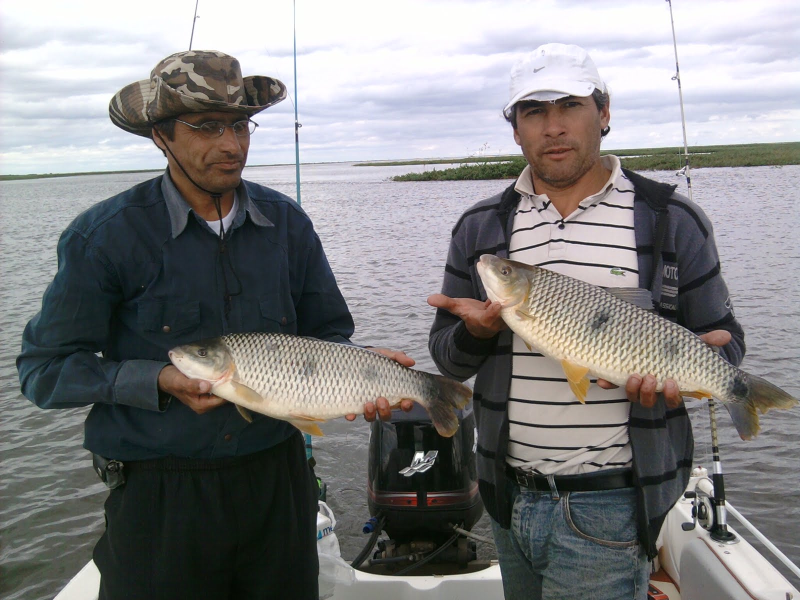 Facundo Pesca: Las bogas estan en boga