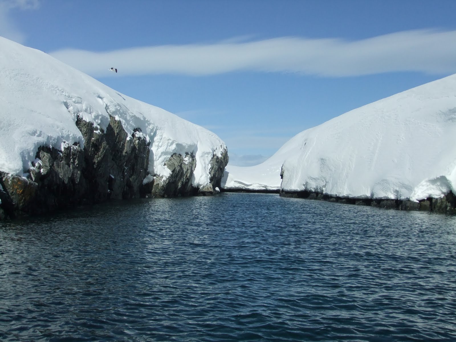 Antarctica Adventures: The Crystal Maze - Cruising Round Foyn Harbour ...