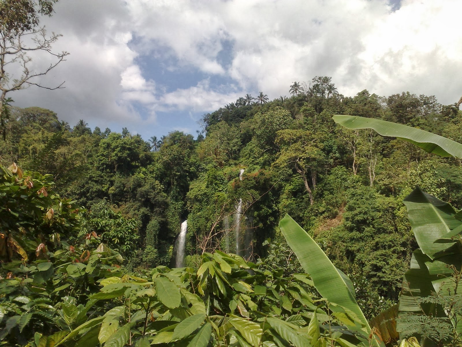 Bali - Sujadi village